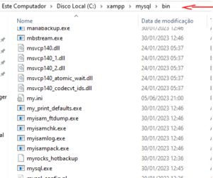 Como acessar o terminal MySQL / MariaDB do xampp – Difusão Tech